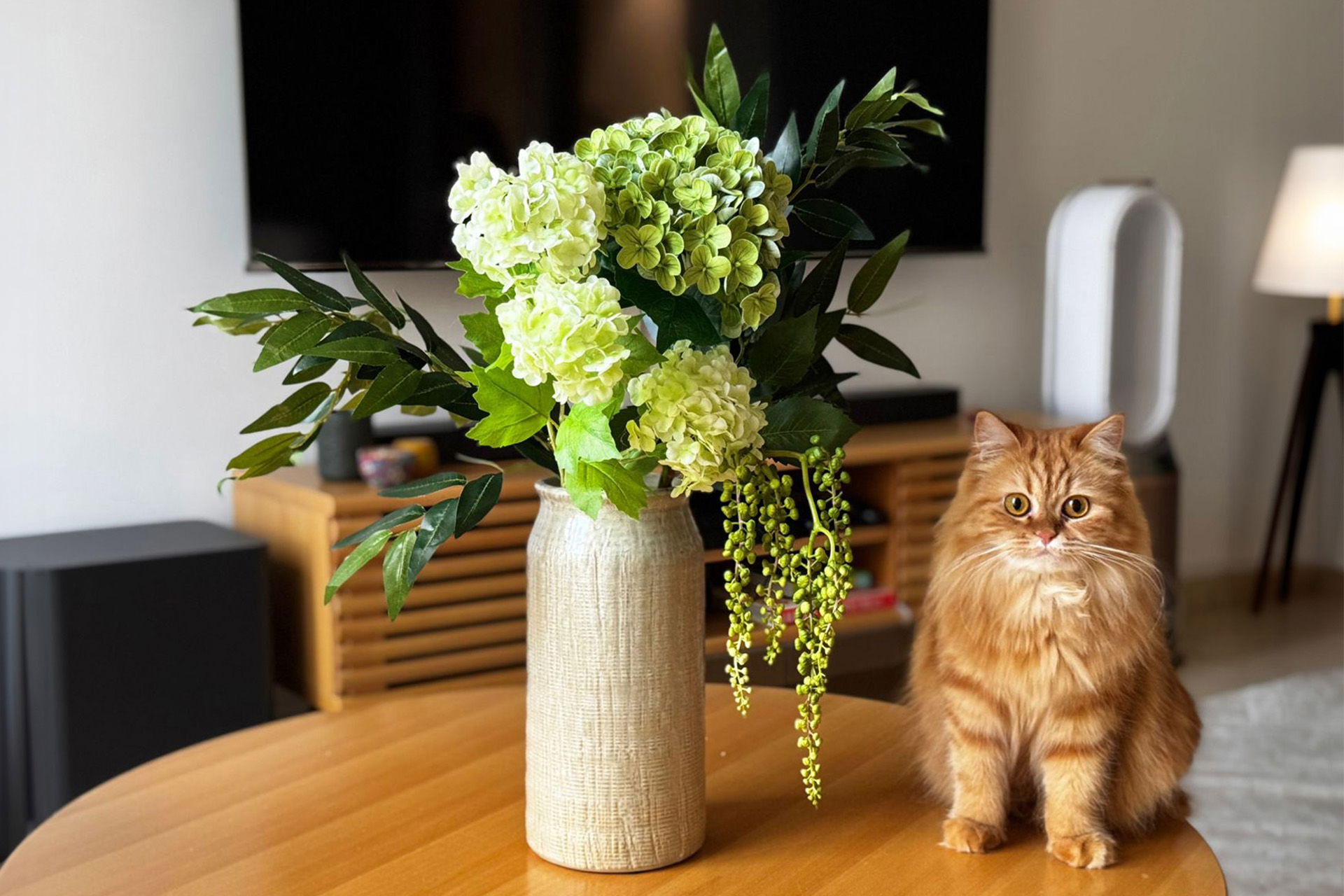 Alle deals | Sweetdeal